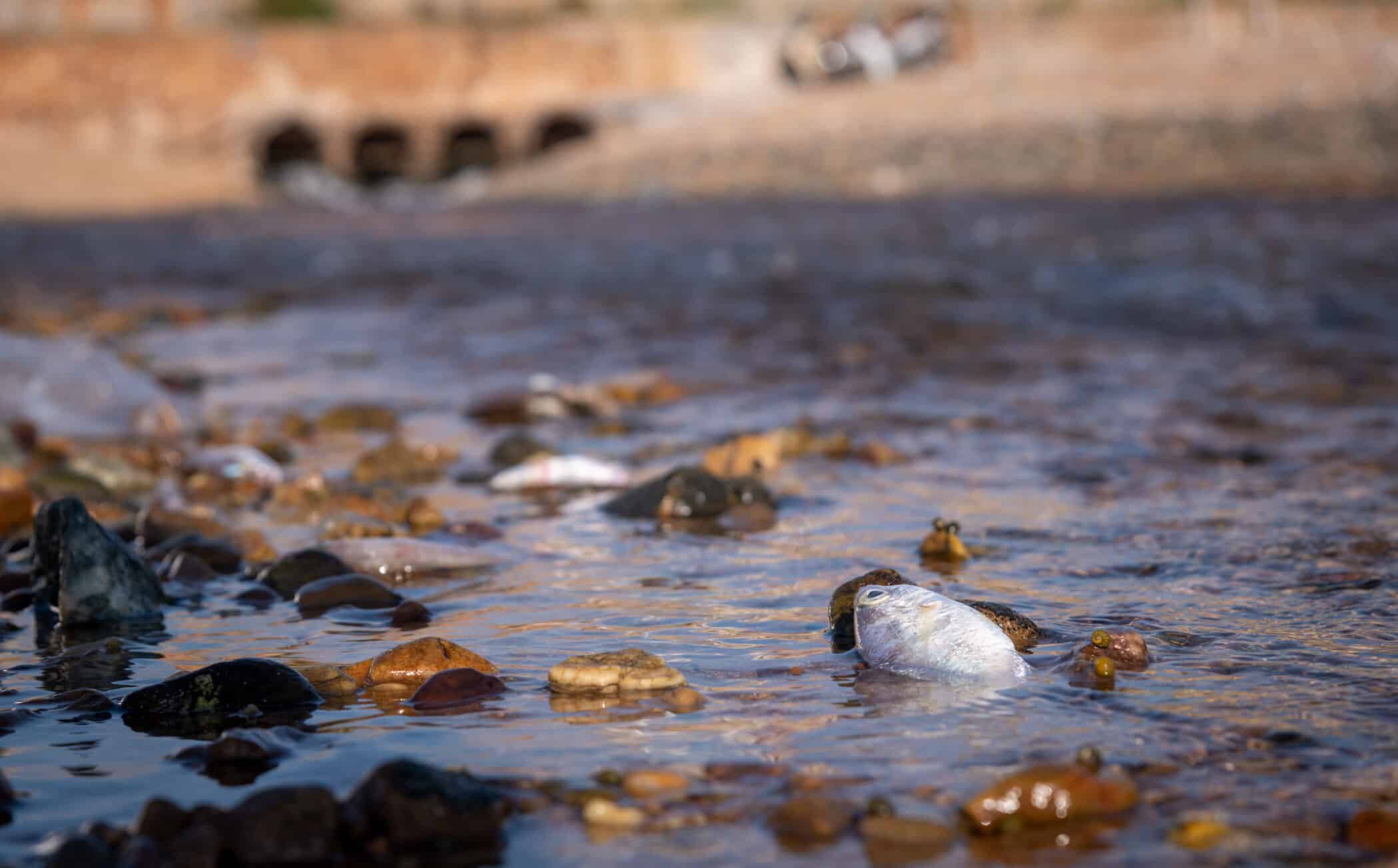 NC Leads Nation in Cuts to Environmental Protection - North Carolina ...
