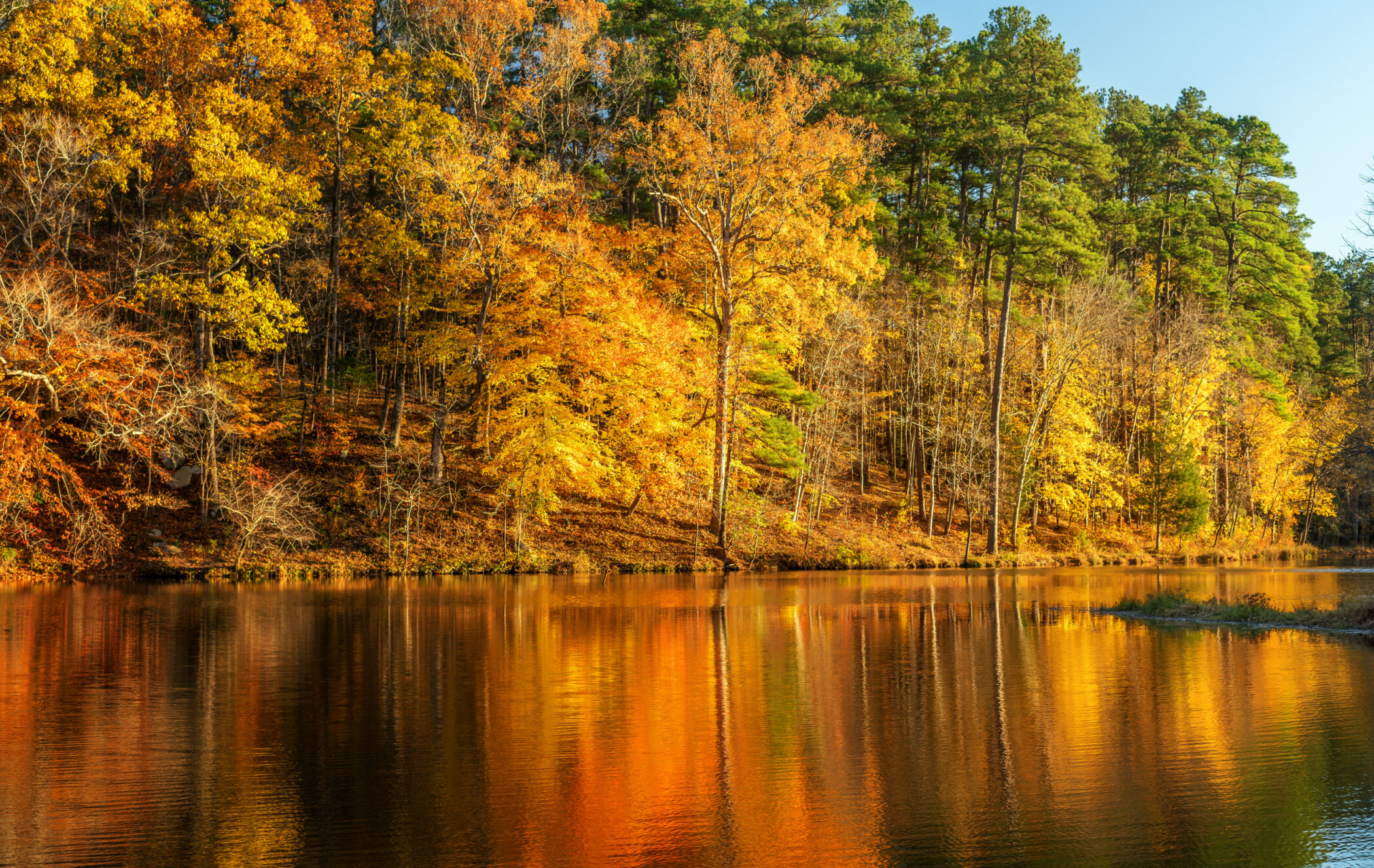 Judge Rules in Favor of Conservation Group, Protects State Park